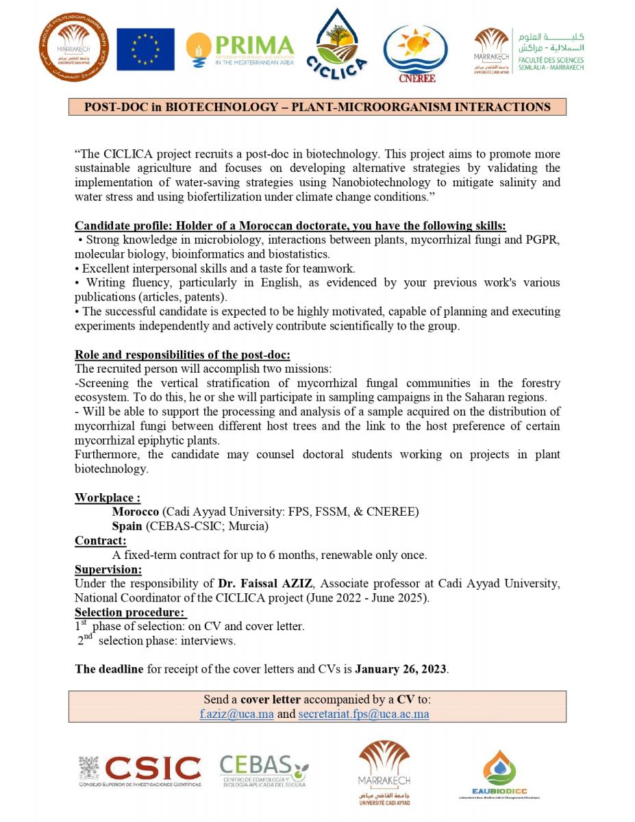 POST-DOC in BIOTECHNOLOGY – PLANT-MICROORGANISM INTERACTIONS